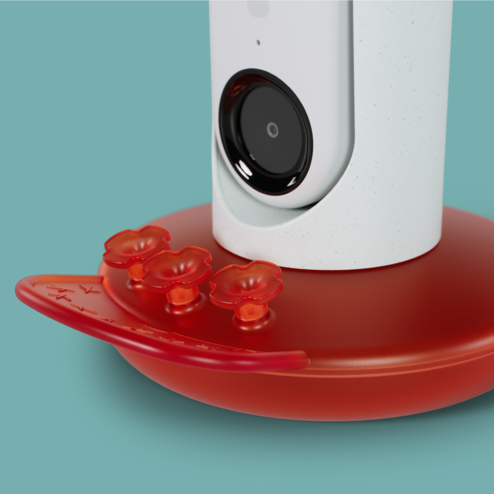 Bird Buddy : Smart Hummingbird Feeder