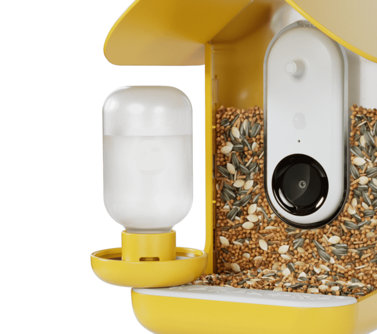 Birdbuddy : Perch Extender