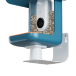 Birdbuddy : Wall Mount