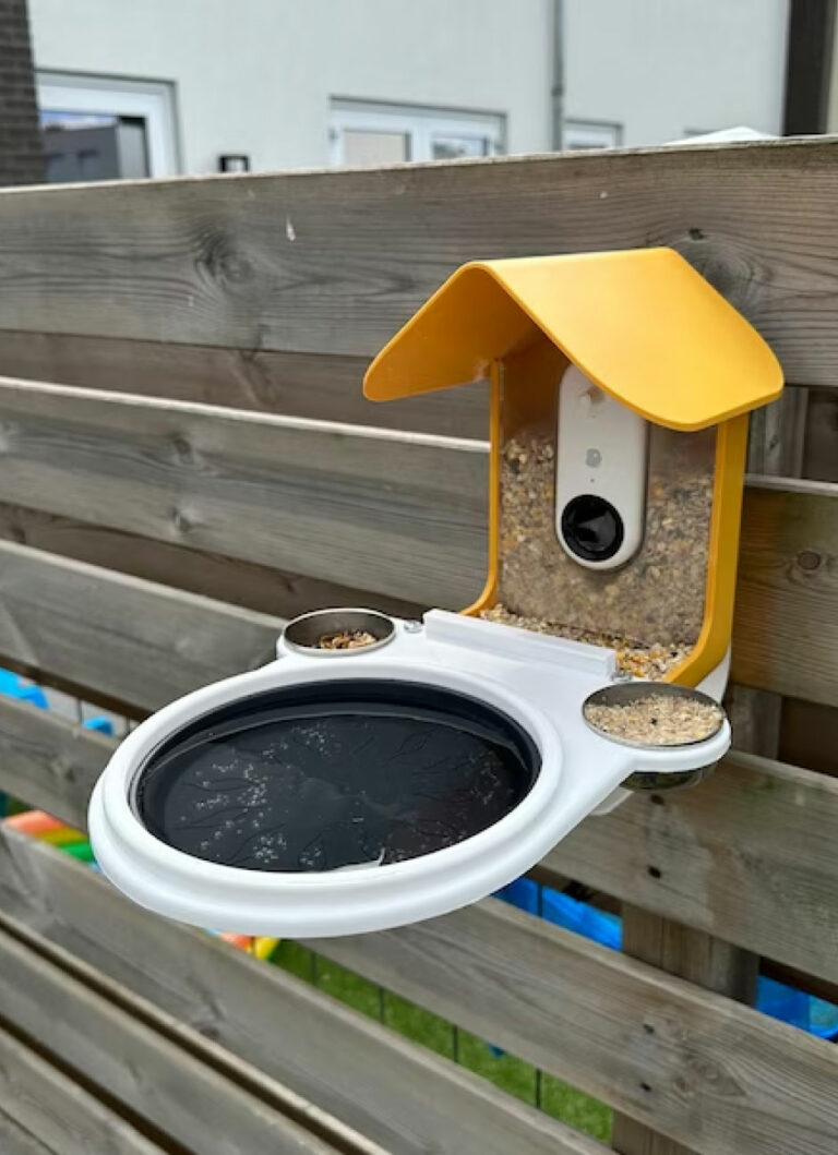 Bird Buddy : The Ultimate Guide