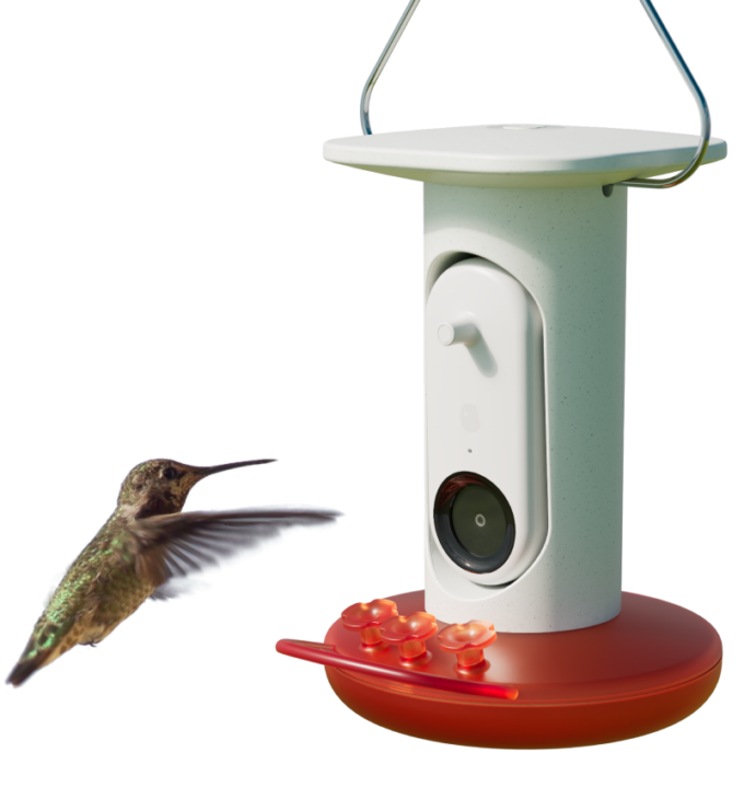 Bird Buddy : Smart Hummingbird Feeder