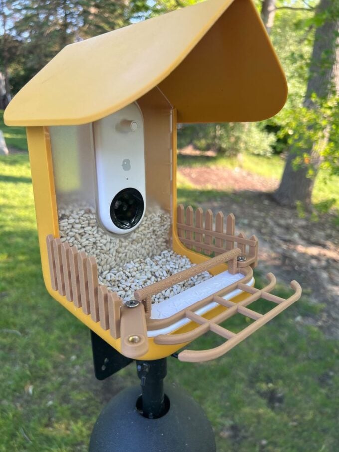 Birdbuddy : The Ultimate Guide